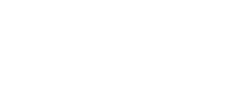 NILES - Neuro Intelligent Leadership Enhancing System - NeuroLeadership ...